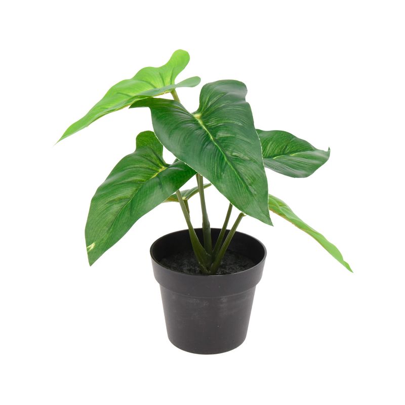 Planta decorativa | KOOPMAN | SINSA - SINSA