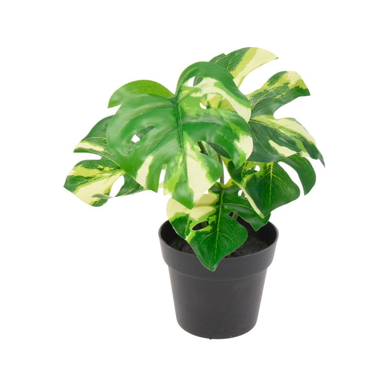 Planta decorativa | KOOPMAN | SINSA - SINSA