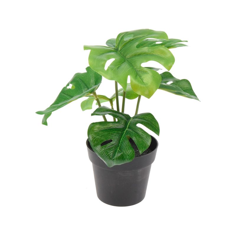 Planta decorativa | KOOPMAN | SINSA - SINSA