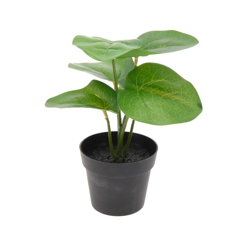 Planta decorativa | KOOPMAN | SINSA - SINSA