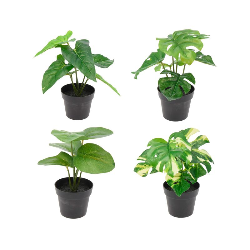 Planta decorativa | KOOPMAN | SINSA - SINSA
